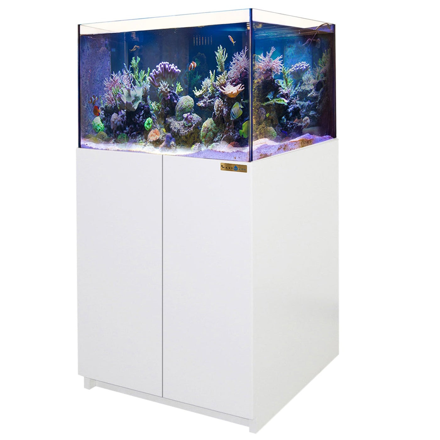 Aqua Dream 115 Gallon Coral Reef Aquarium Ultra Clear Glass Tank & Bui ...