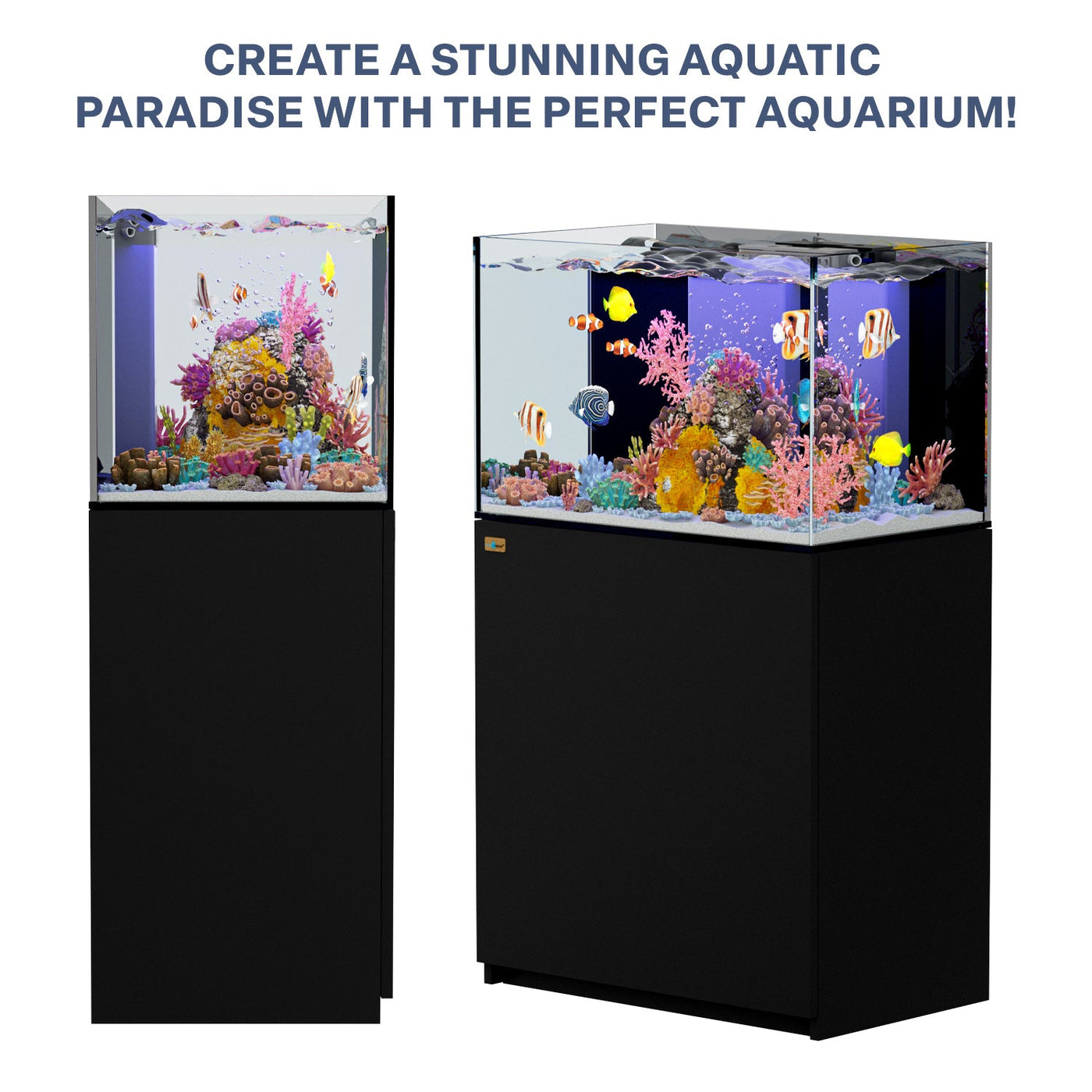 Aqua Dream Coral Reef Aquarium 90 Gallon Ultra Clear Glass Tank & Buil ...