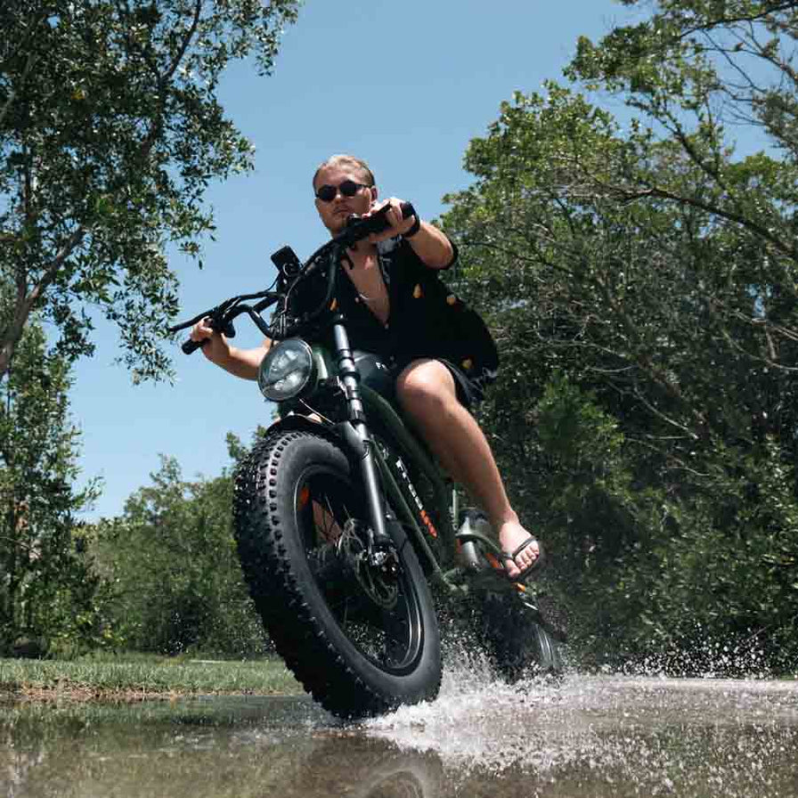 Freego Shotgun Flash F3 Pro Electric Bike Dual Battery and Dual Motor ...